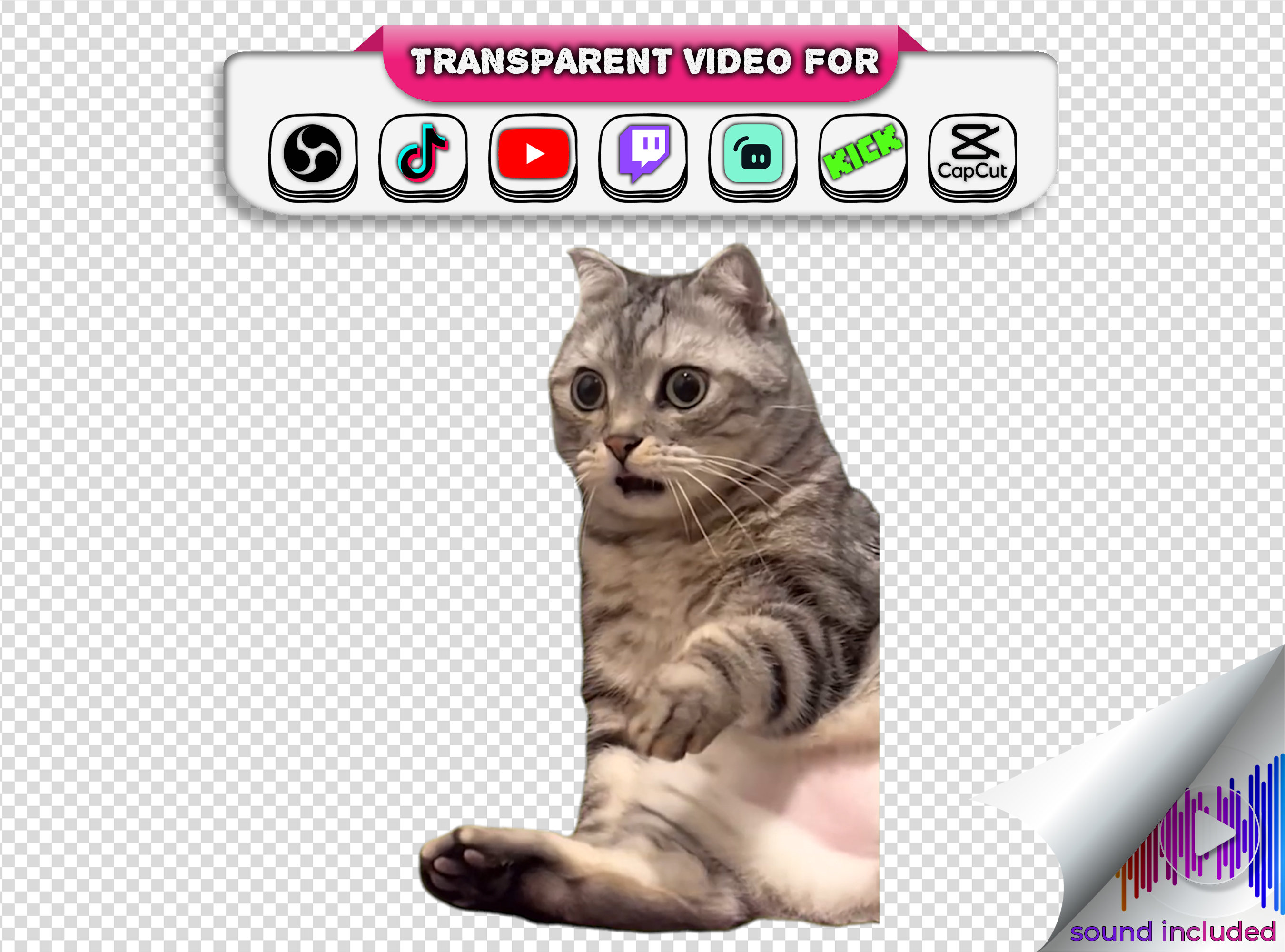 Transparent Background Shocked Cat Memes Animated Emotes 28px, 56px ...