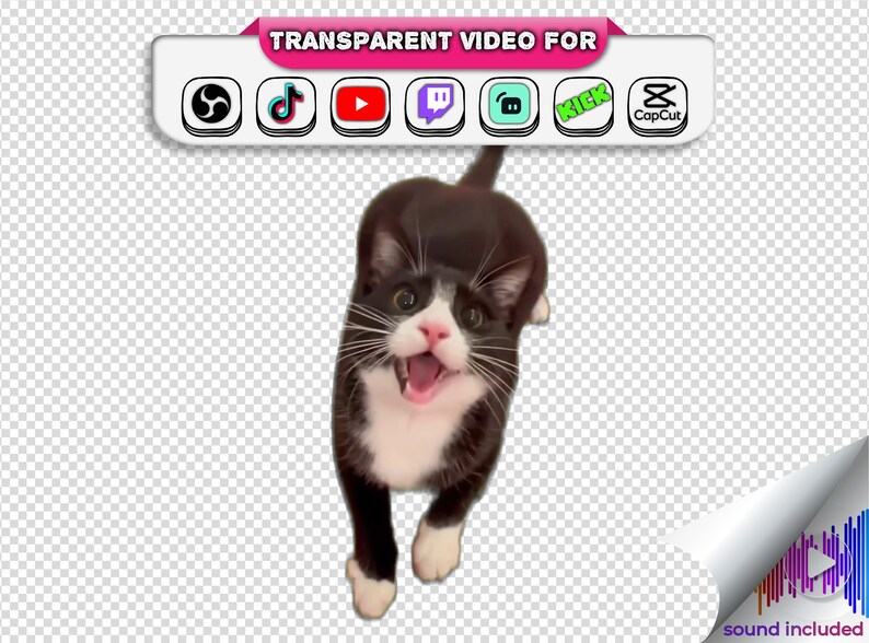 Happy Cat Smiling Like a Dog Meme With Audio Stream Alert Webm Twitch ...