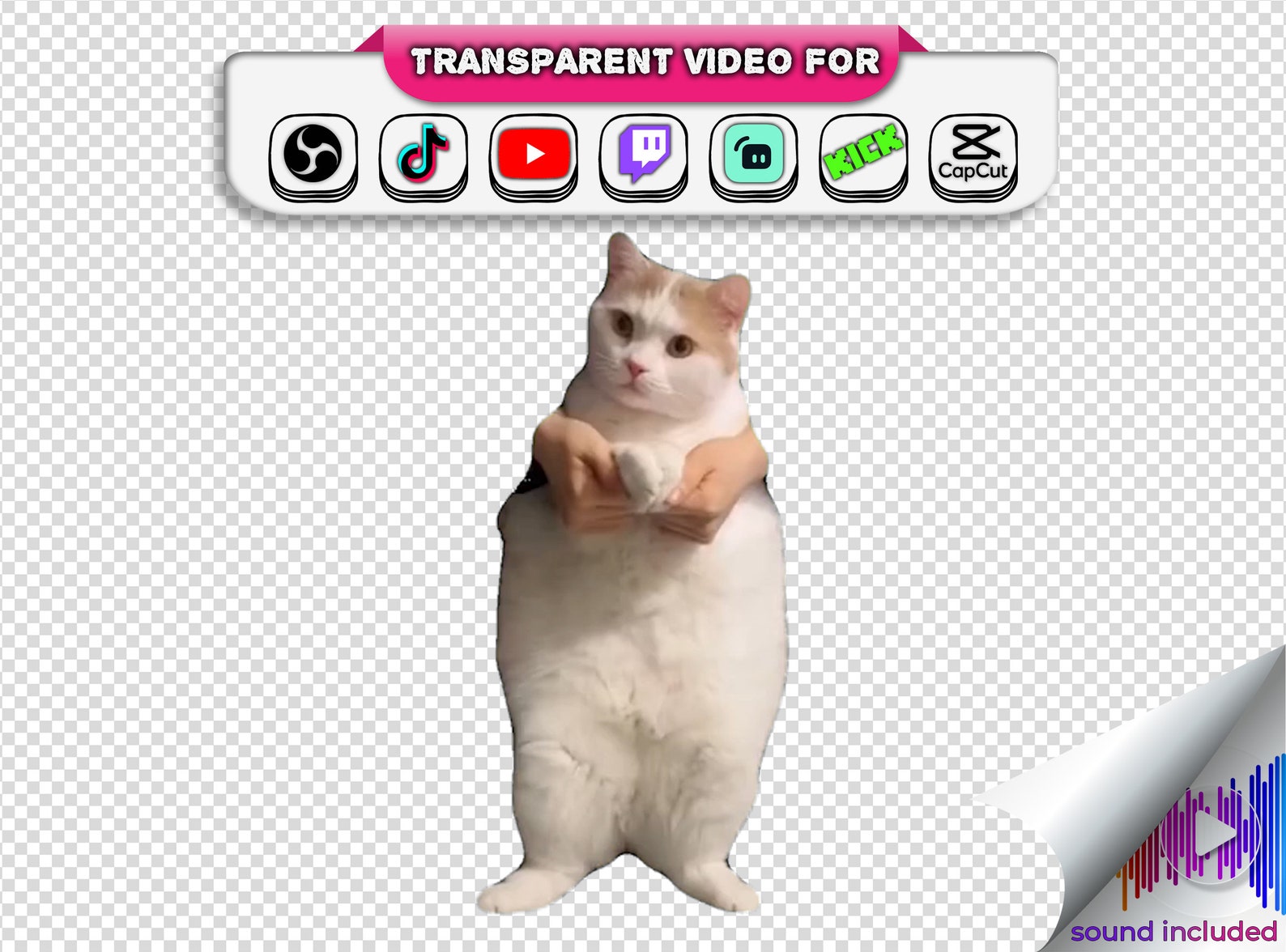Transparent Background Cat Dancing EDM Meme Funny With Audio Stream ...