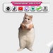 Transparent Background Cat Dancing EDM Meme Funny With Audio Stream ...