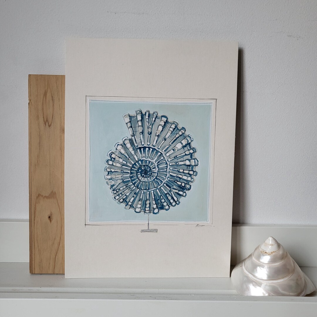Original Art, Hand Drawn Coastal Decor, Sea Shell Drawing, Mixed Media ...