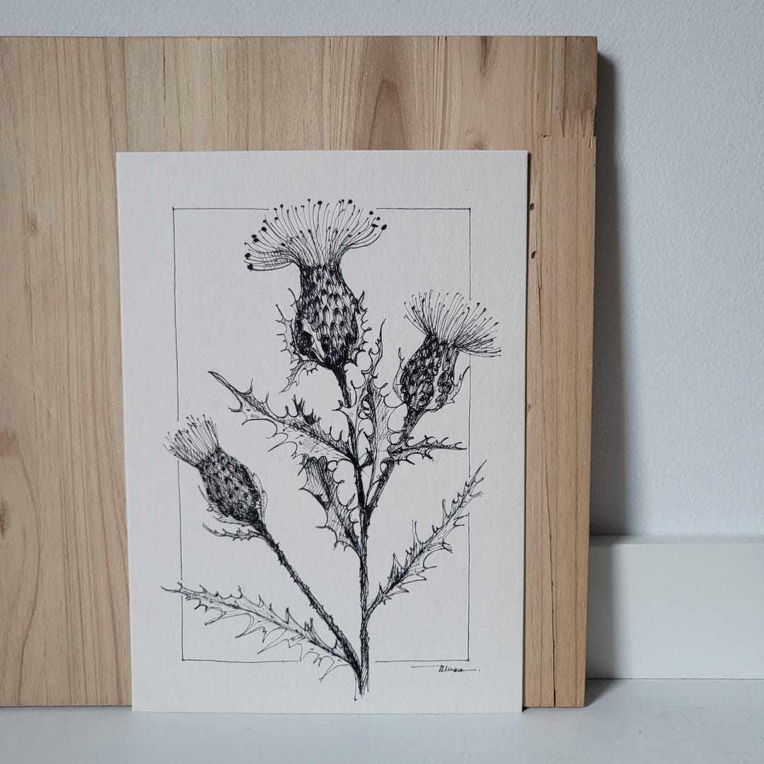 Original Botanical Drawing, Floral Ink Sketch, Floral Graphic ...