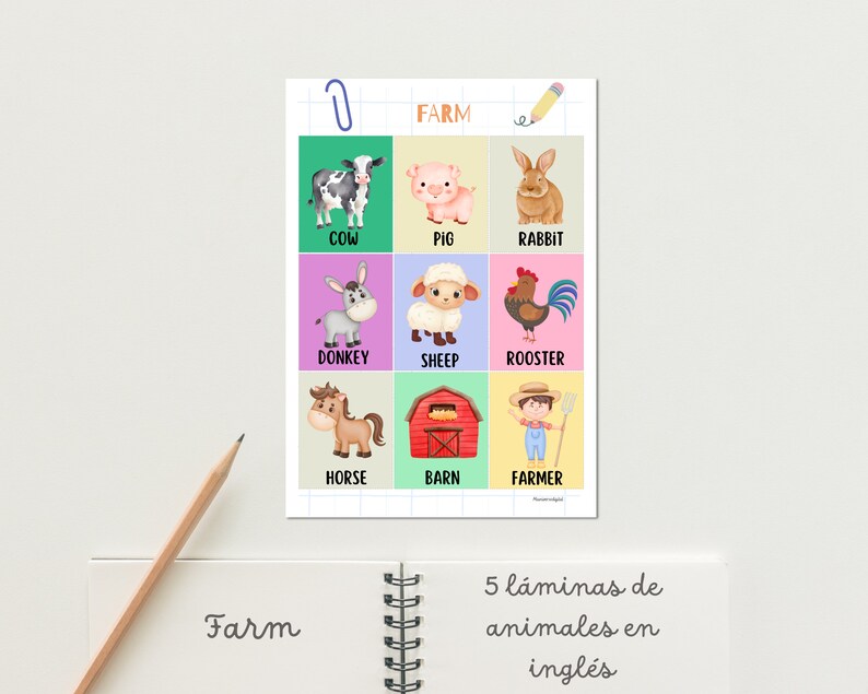 Set de 5 láminas en inglés de animales, carteles educativos para ...