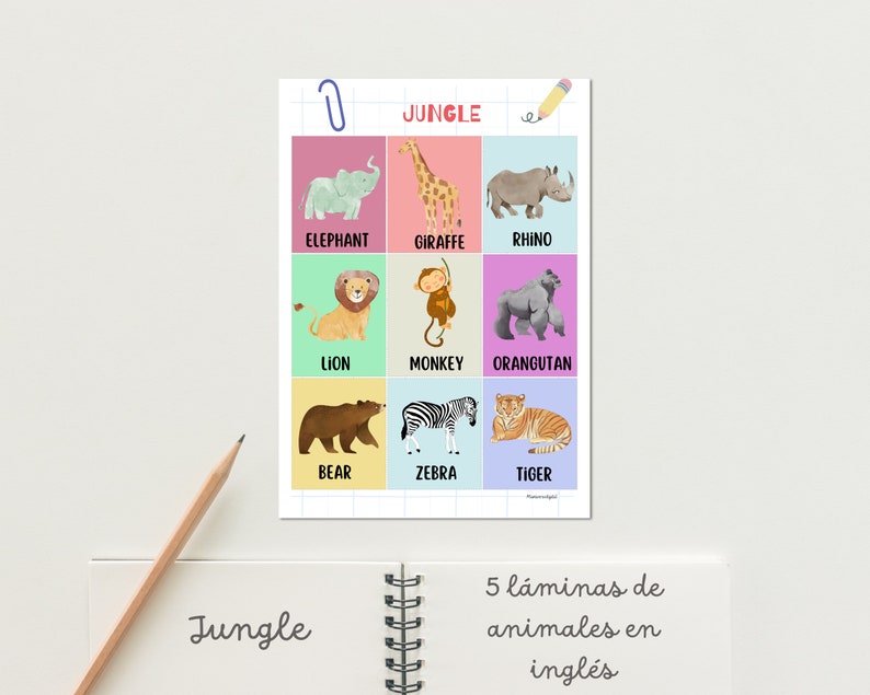 Set de 5 láminas en inglés de animales, carteles educativos para ...
