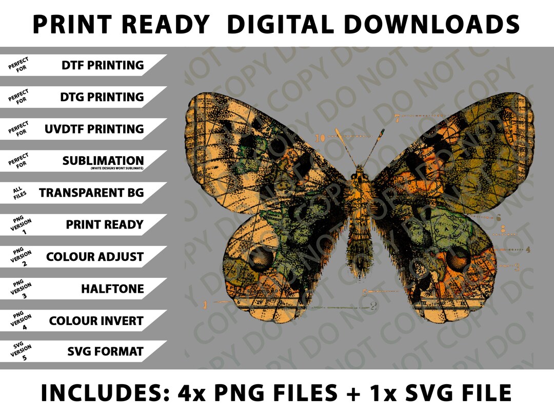 Time Flies Png Bundle, SVG Files, Digital Downloads - Etsy