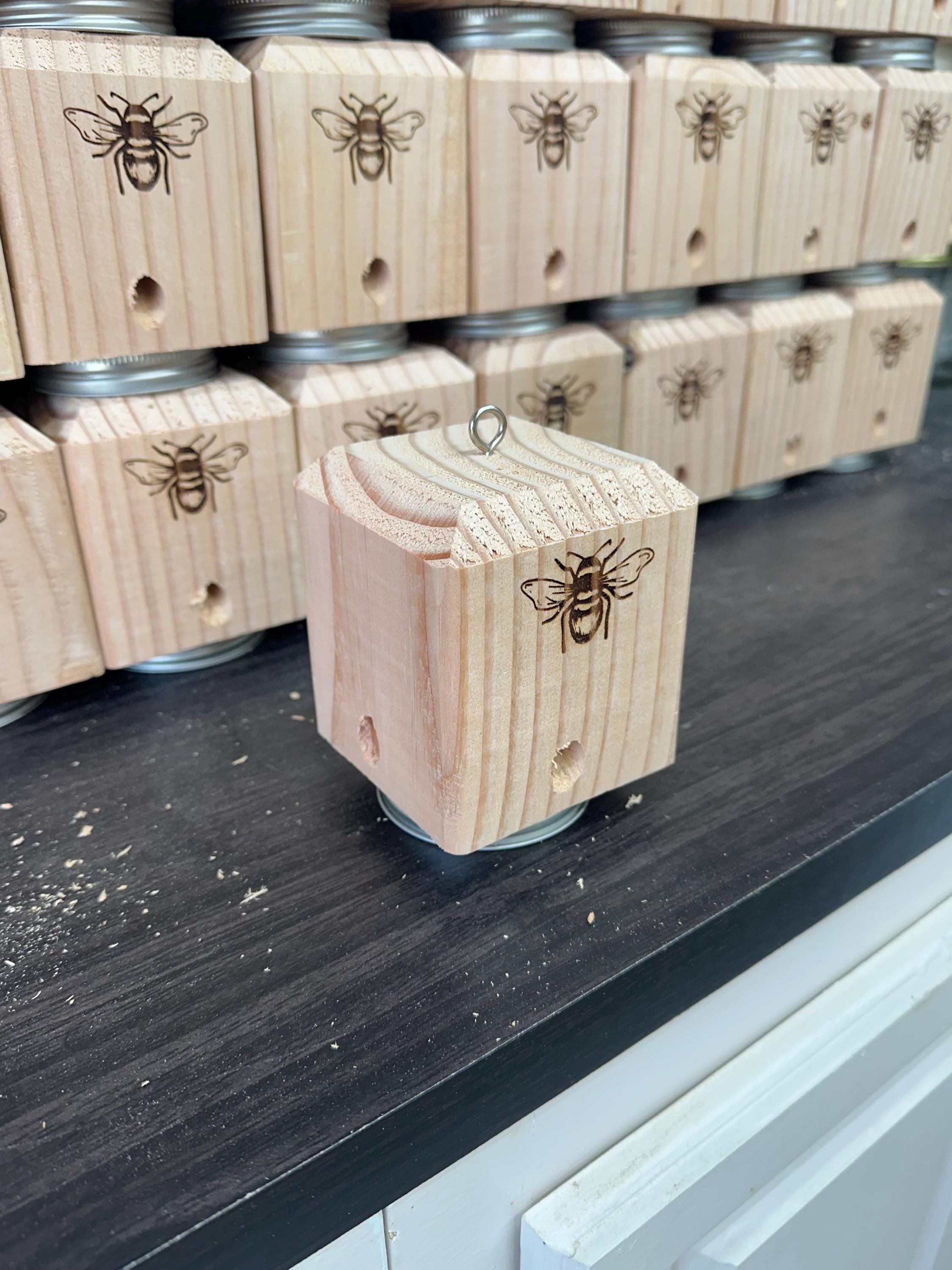 Carpenter Bee Trap Head - Etsy