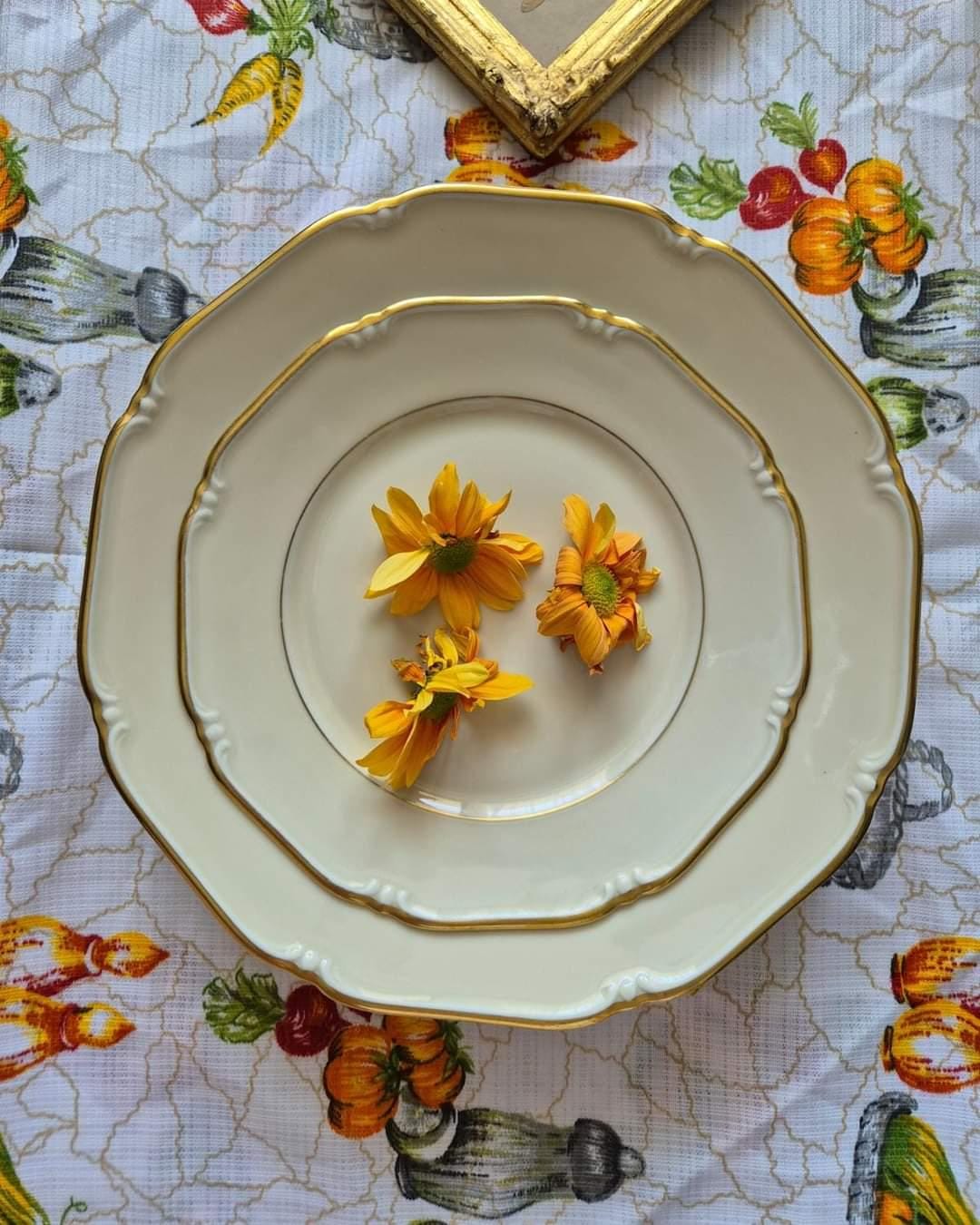 Vintage Thomas Ivory Porcelain Plates - Etsy