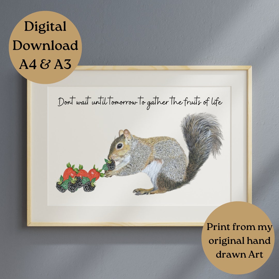 Squirrel Fruit of Life Digital Poster, Inspirational Quote Print at ...