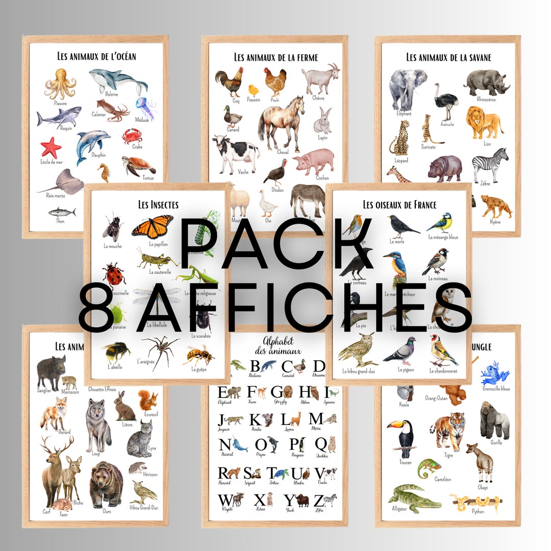 PACK 8 Educational and Decorative Posters, Farm Animal Theme, Ocean ...