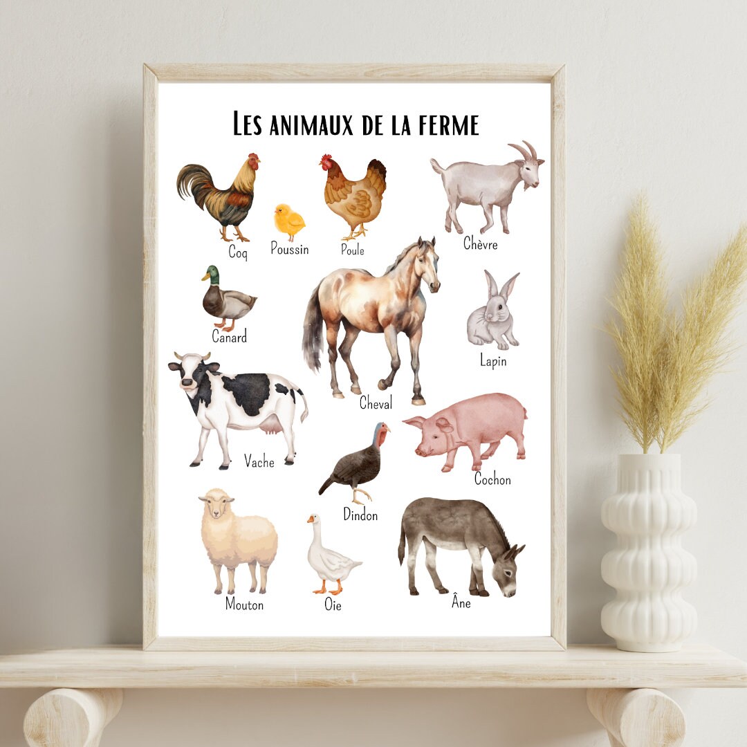 Farm Animal Poster, Educational Poster, Decorative Poster - Etsy
