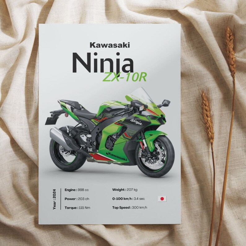 Kawasaki Ninja ZX-10R | 2024 | Personalized Motorcycle Poster | Gift ...