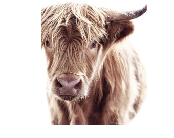 Highland Cow Carhart DTF, Highland Cow DTF, Western Dtf, Cowgirl Dtf ...