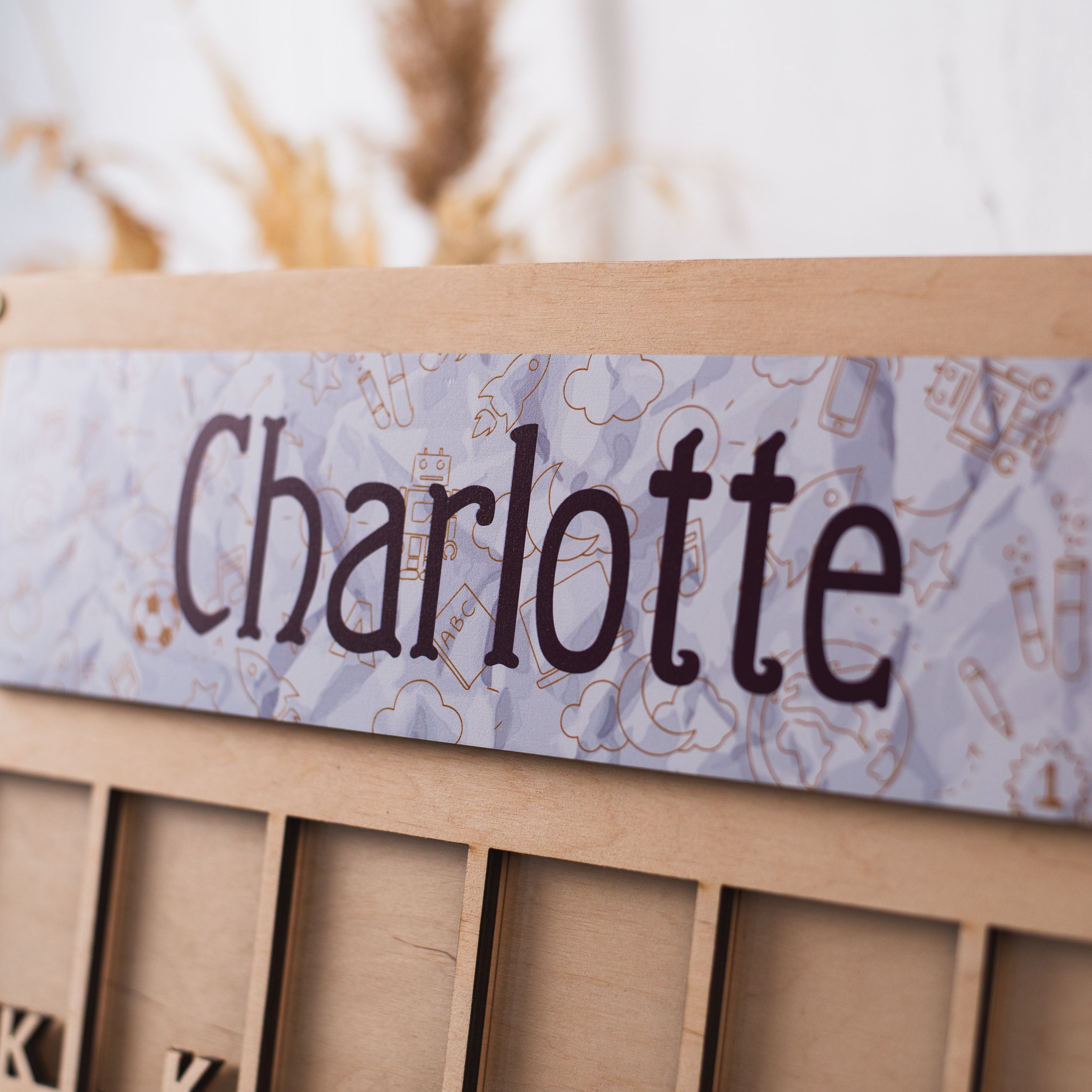 School Photo Frame K-12, School Years Picture Frame K-12, Prek to ...