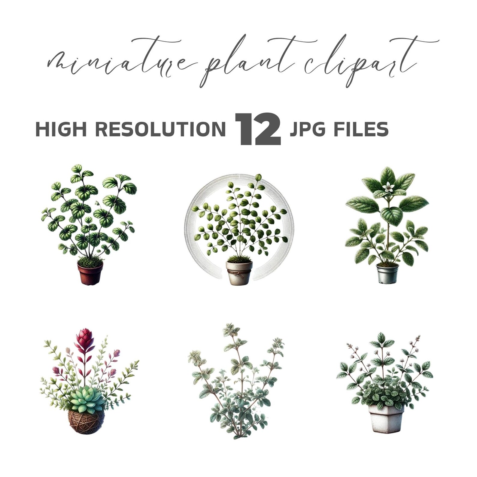 Greenery Clipart Set, Potted Plants, Miniature Trees, DIY Crafting Kit ...