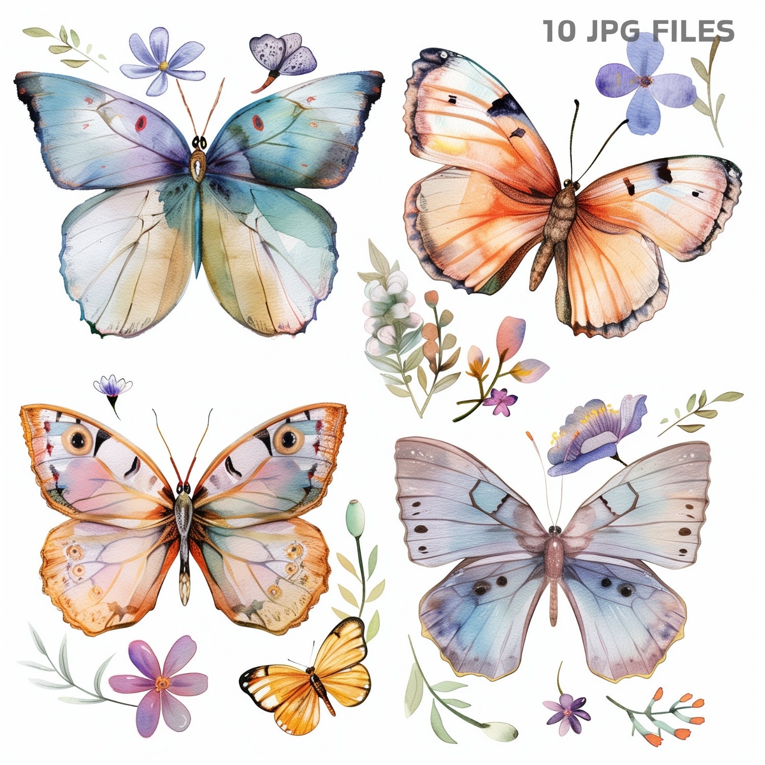 10 Beautiful Butterfly Clipart Set Instant Download for Commercial Use ...