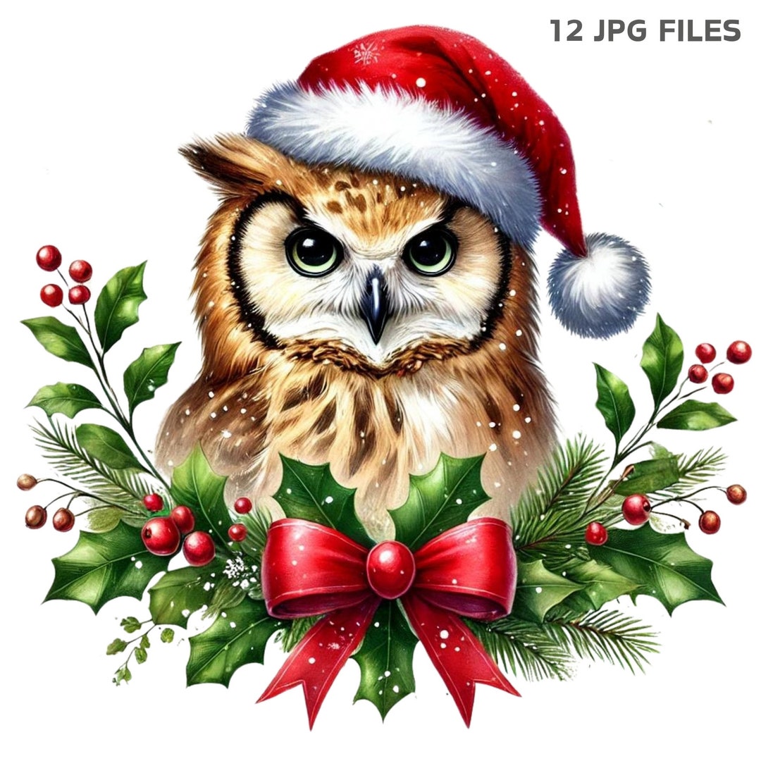 Christmas Owl & Wreath Digital Images, Winter Watercolor Clipart Set ...