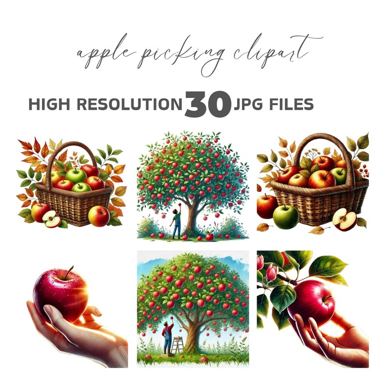 Apple Picking Clipart Watercolor Apple Orchard Apple Pie & Basket ...