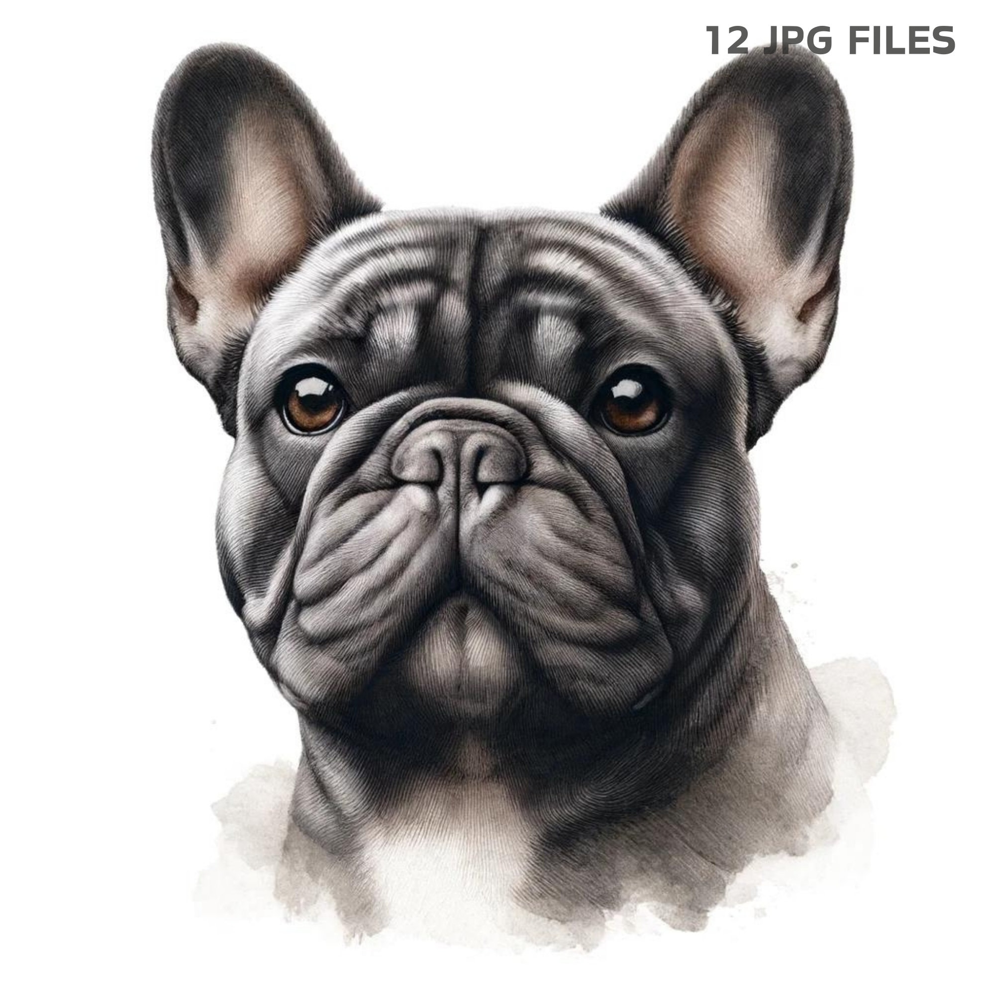 French Bulldog Clipart Set, Instant Download Digital Art for Dog Lovers ...