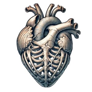 Gothic Valentine Skeleton Heart Clipart Digital Crafting High ...