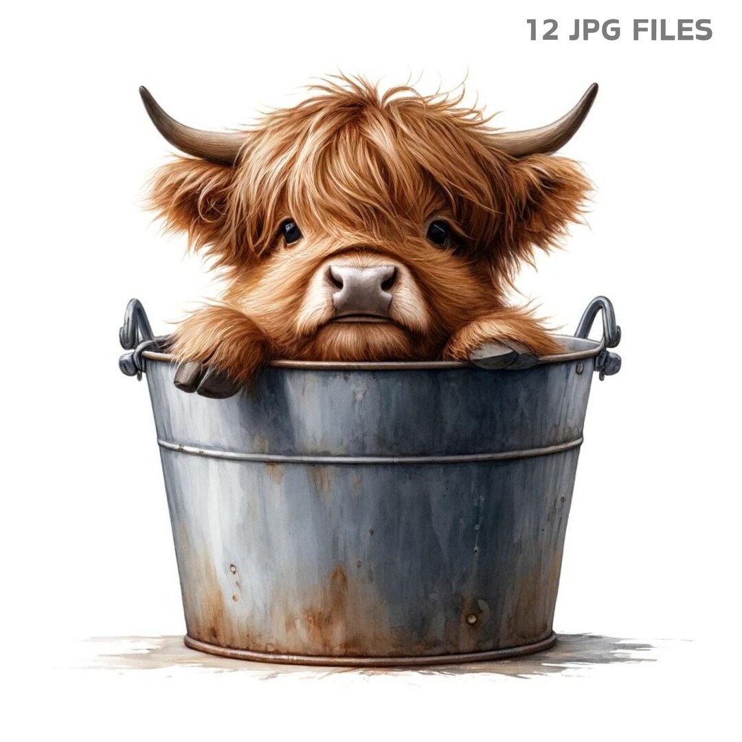 Cute Highland Cow in A Bucket Watercolor Clipart for Paper Crafts ...