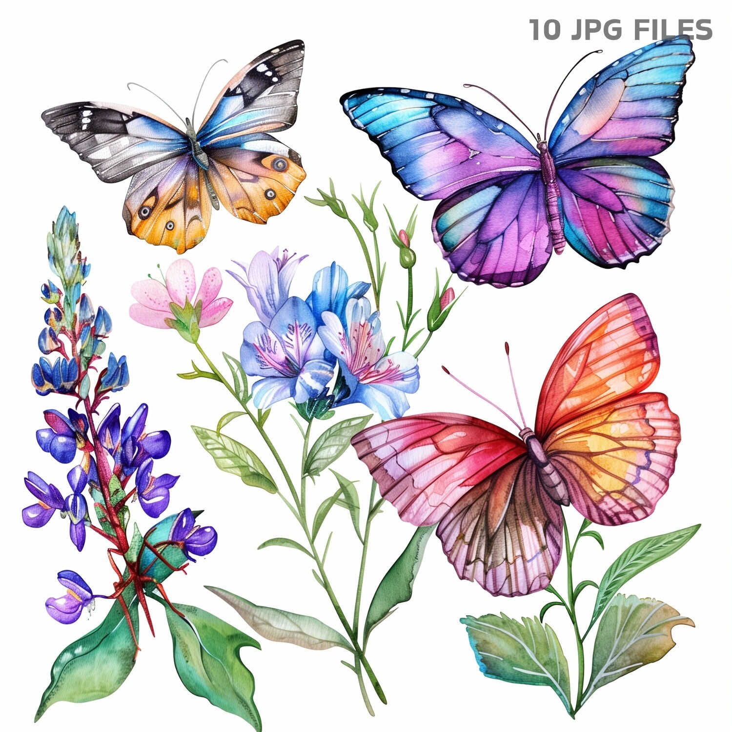 10 Butterfly Clip Art Set, Instant Download for Scrapbooking and Paper ...