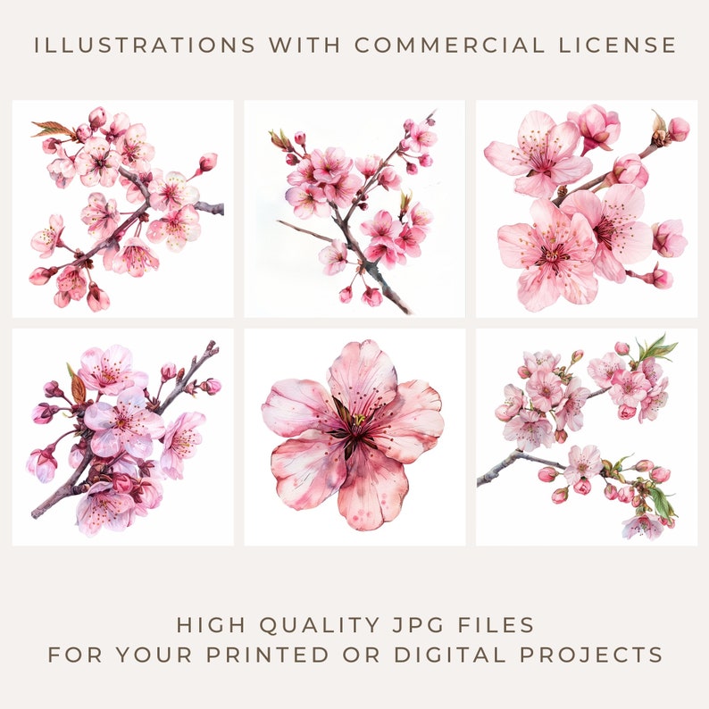 15 Sakura Blossom Clipart Bundle Watercolor Images for Scrapbook ...