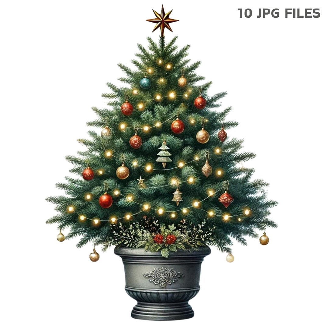 Potted Christmas Trees, Plant Clipart, Digital Crafting, Holiday ...