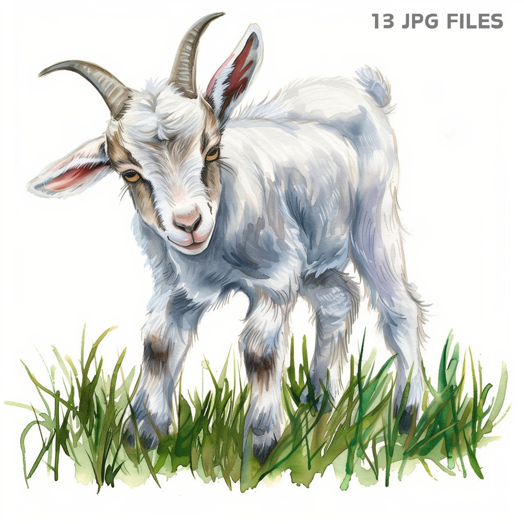 Watercolor Clipart Cute Goat Instant Download JPG Files for Farm Life ...