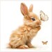 12 Rabbit With Butterfly for Junk Journal, Digital Print, Paper Craft ...
