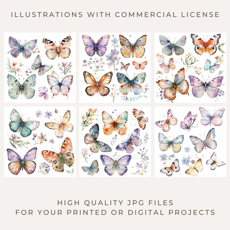10 Beautiful Butterfly Clipart Set Instant Download for Commercial Use ...