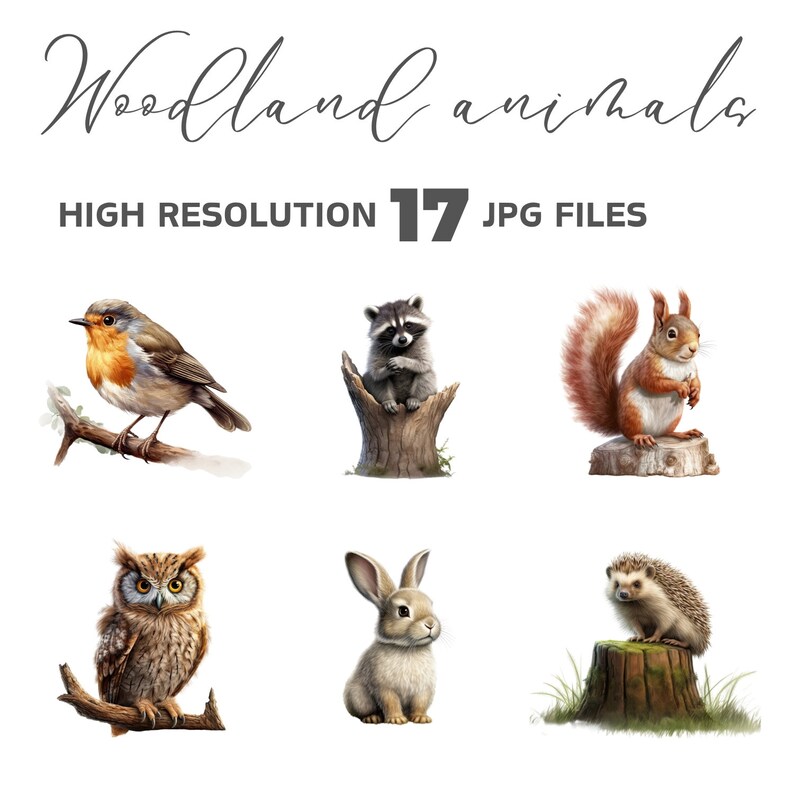 17 Watercolor Woodland Animal Clip Art, Printable Art for Nursery Decor ...