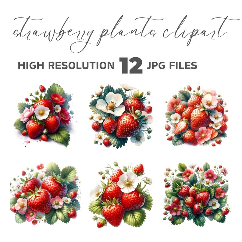 Watercolor Strawberry and Berry Plants Clipart, Instant Download ...