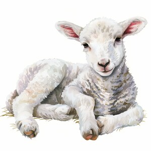 8 Farmhouse Clipart, Lamb Baby Shower, Easter Clip Art, Baby Animals ...