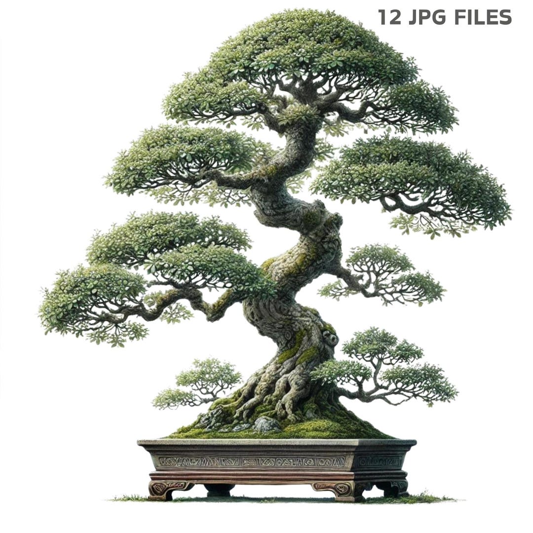 Digital Download Bonsai Tree Clipart Image for Crafting, Watercolor Set ...