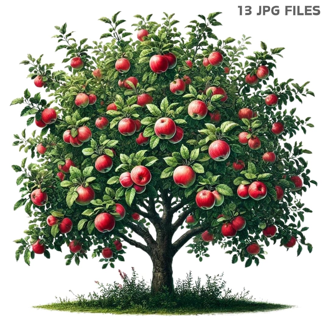 Apple Tree Clipart, Watercolor Apples, Apple Orchard Harvest Graphics ...