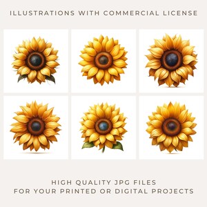 Watercolor Sunflower Clipart Set, Instant Download, Digital Crafting ...