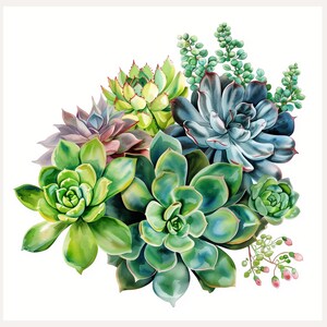 12 Watercolor Succulent Clip Art Set Digital Bundle for Junk Journal ...