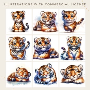 Cute Tigers Collage Images for Commercial Use, Jungle Nursery Decor ...