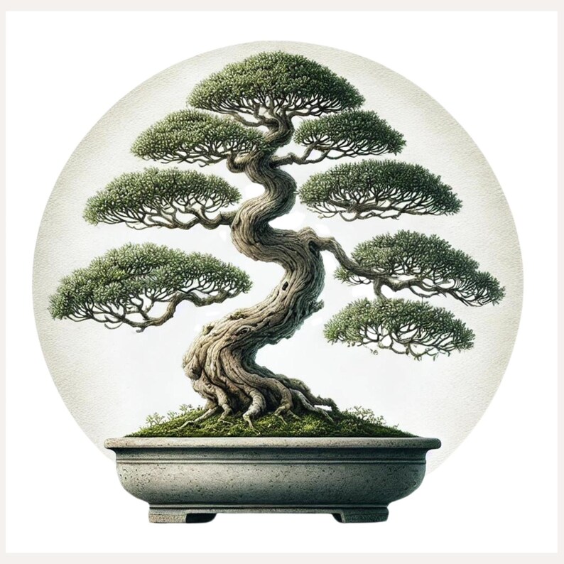 Digital Download Bonsai Tree Clipart Image for Crafting, Watercolor Set ...