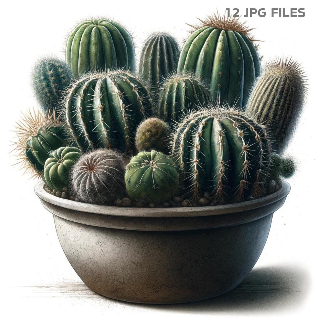 Potted Cactus Clipart Designs for DIY Crafting Projects, Cactus ...