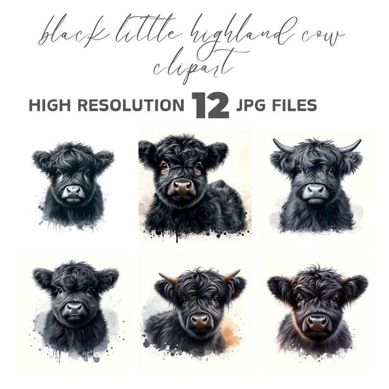 Baby Highland Cow Print Digital Download Highland Cow Clipart Bundle ...