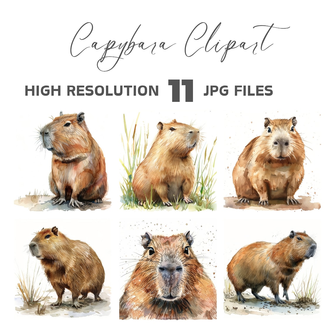 Wild Capybara Watercolor Clipart Set for Commercial Use, Instant ...