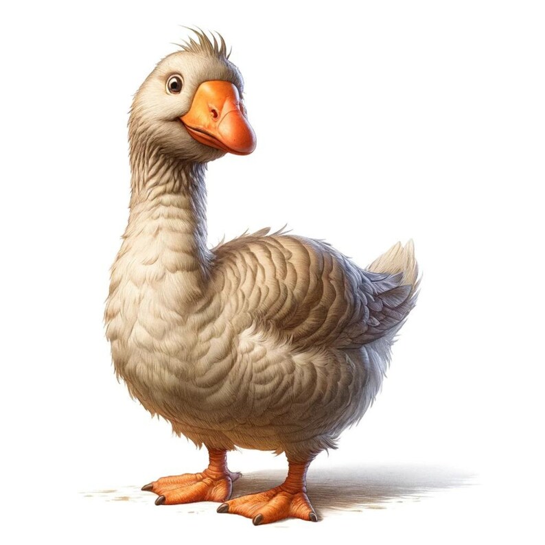 Silly Goose Clipart, Funny Bird Stickers for Digital Projects, Farm ...