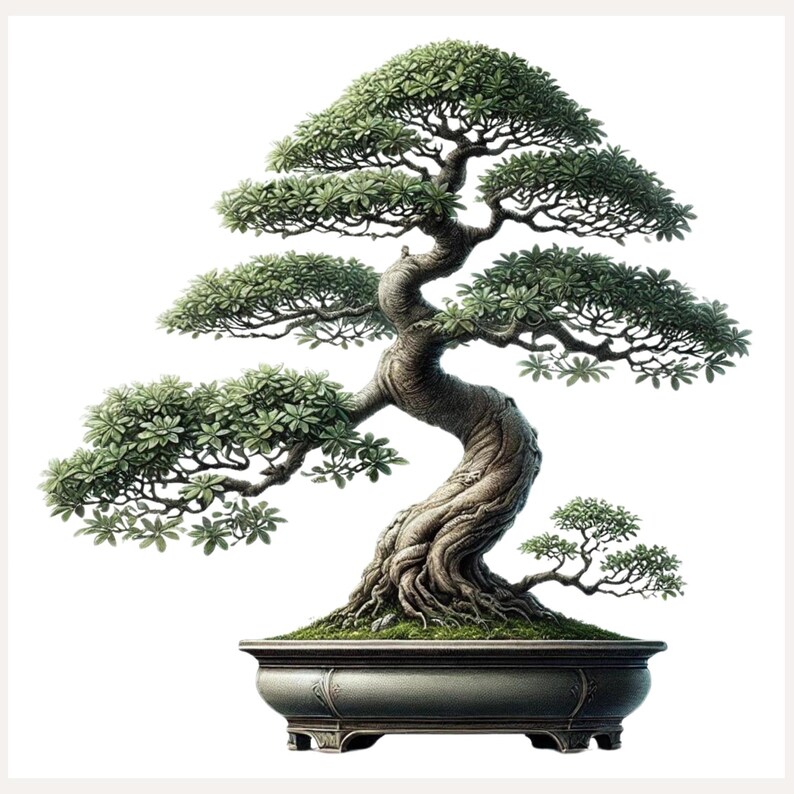 Digital Download Bonsai Tree Clipart Image for Crafting, Watercolor Set ...