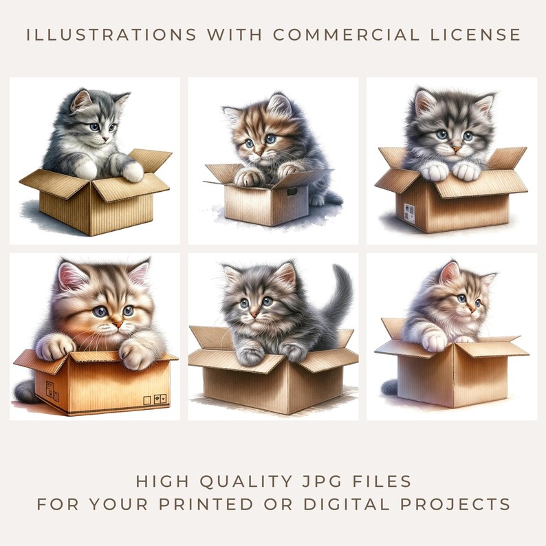 Cat Clipart Bundle, Cute Kittens Playing With Boxes, Digital Graphics ...