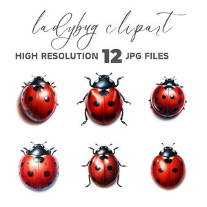Ladybug Watercolor Clipart Set, Instant Download for Scrapbook Supplies ...