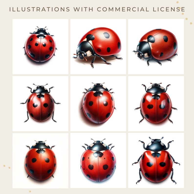Ladybug Watercolor Clipart Set, Instant Download for Scrapbook Supplies ...