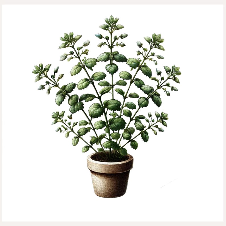 Greenery Clipart Set, Potted Plants, Miniature Trees, DIY Crafting Kit ...