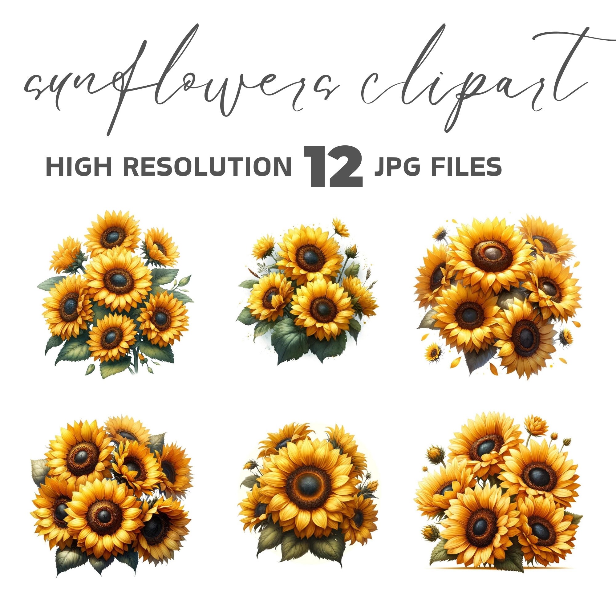 Watercolor Sunflowers Collage Images for Paper Crafts and Digital ...