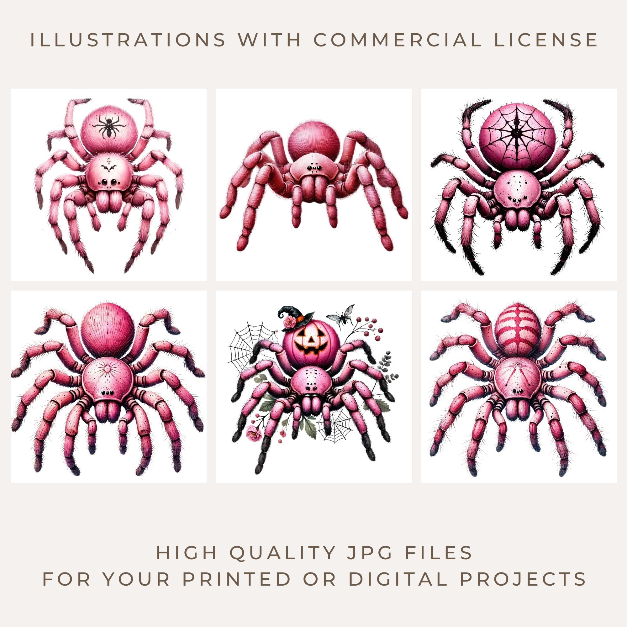 Pink Spider Watercolor Clipart Bundle, Digital Download for Halloween ...